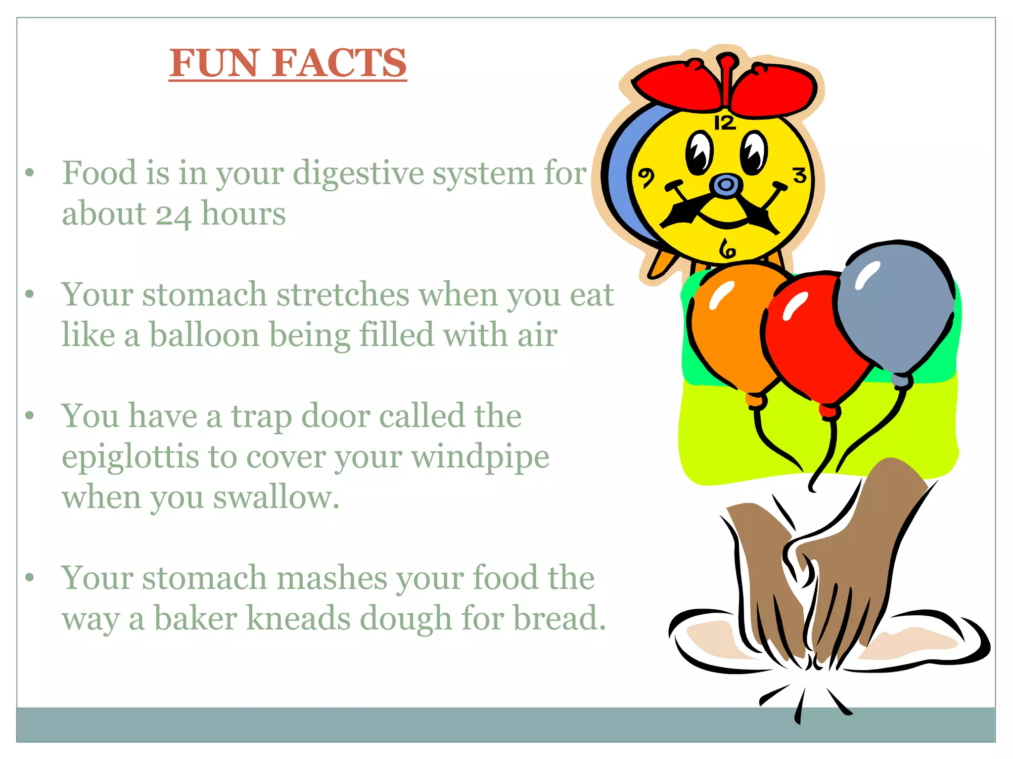 The Digestive System | PPTX