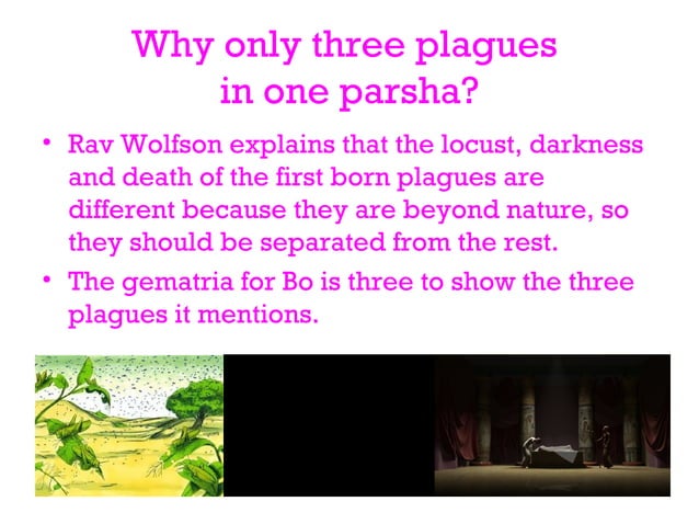 Parshat Bo | PPT | Judaism | Religion & Spirituality