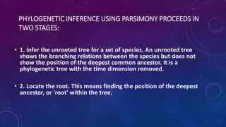 Parsimony methods | PPTX