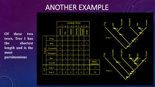 Parsimony methods | PPTX