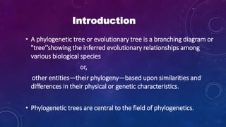 Parsimony methods | PPTX
