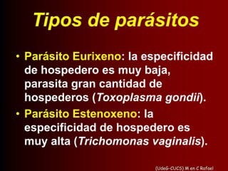 Parásito 2007-A IDENTIFICADA.ppt_Rafael Cortes Zarate | PPT