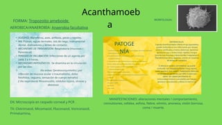 Presentacion-guia de Microbiología Parásitos .pptx