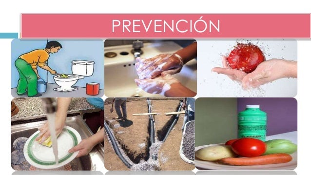 Entamoeba Coli Tratamiento