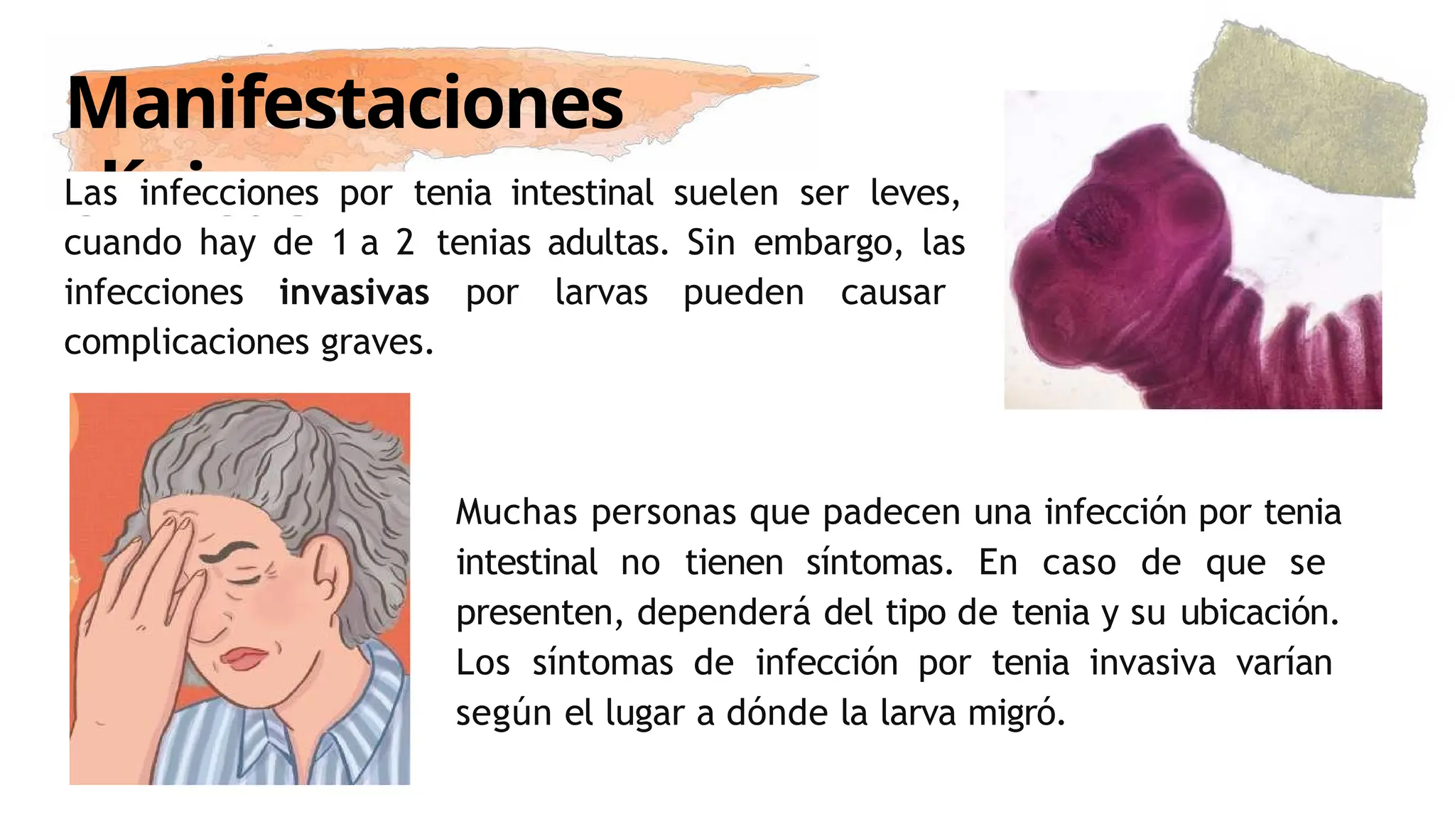 Parsitosis por teniasis solium diapositivas1111.pptx