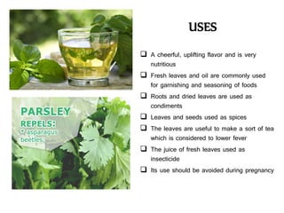 Parsley | PPTX