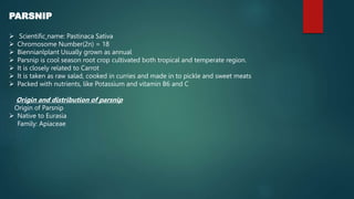 Parsnip presentation.pptx