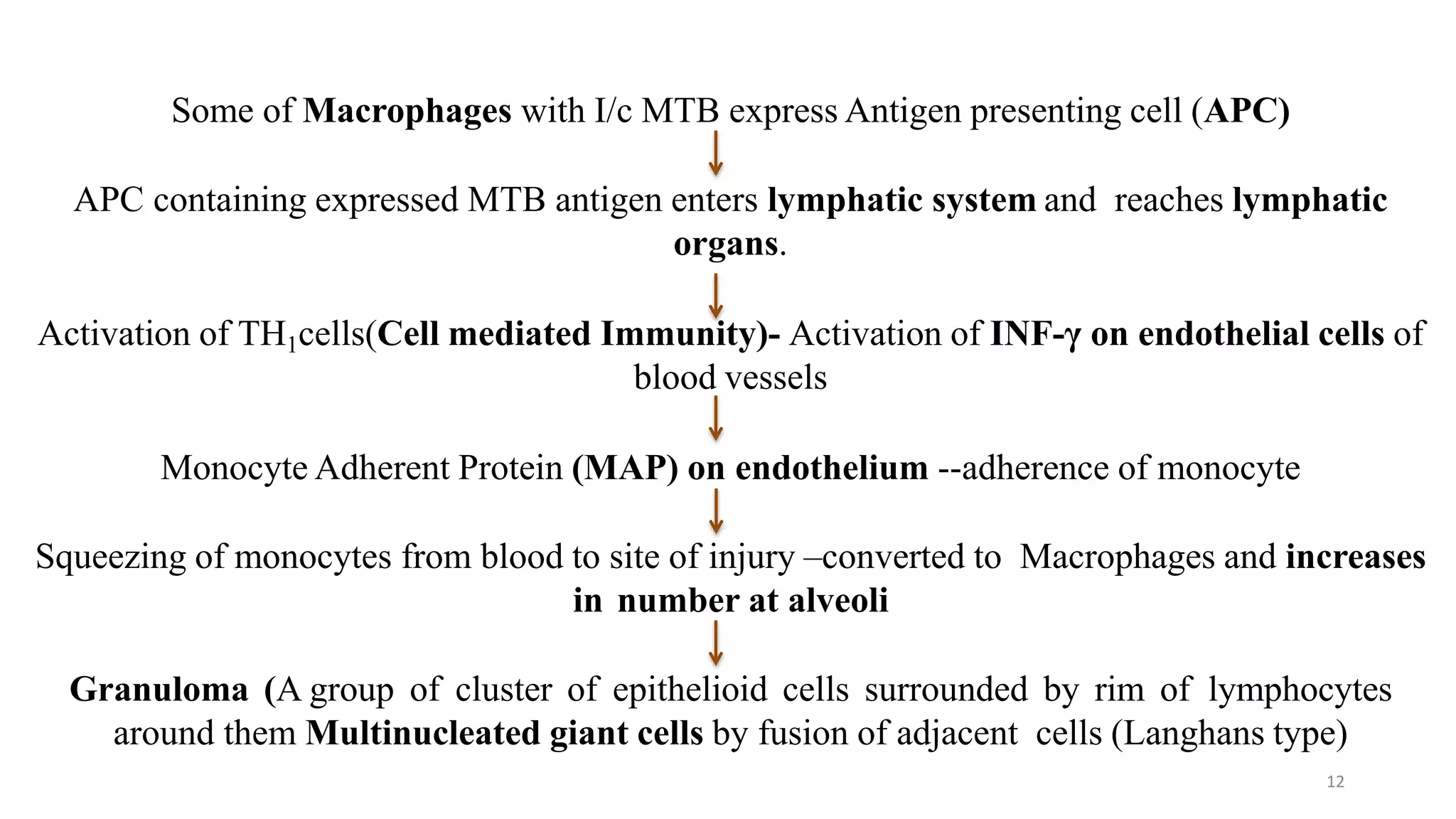 Part- 1. Pathophysiology of TB and 1st and 2nd line AKT, DR. Kiran G ...