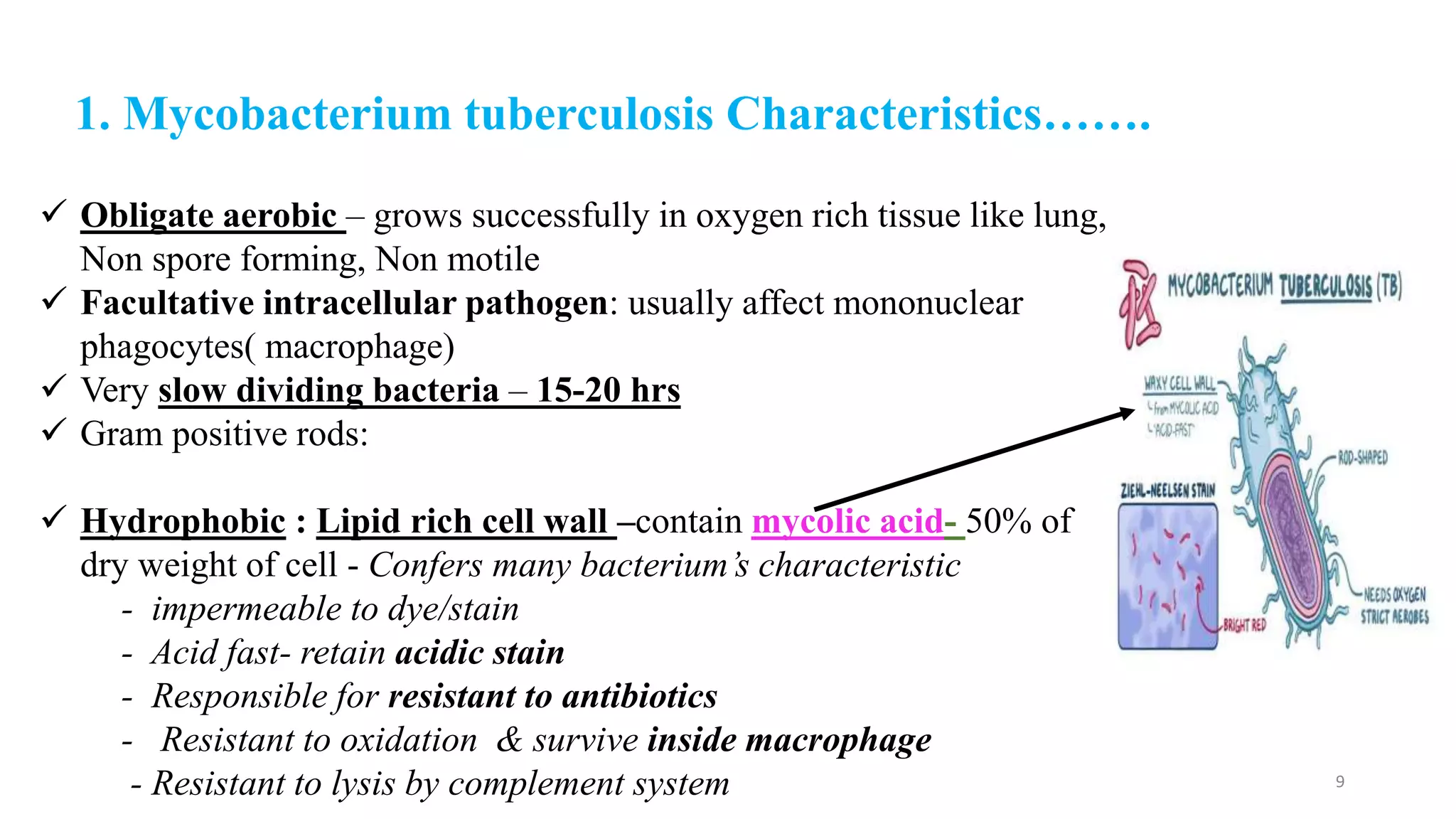 Part- 1. Pathophysiology of TB and 1st and 2nd line AKT, DR. Kiran G ...
