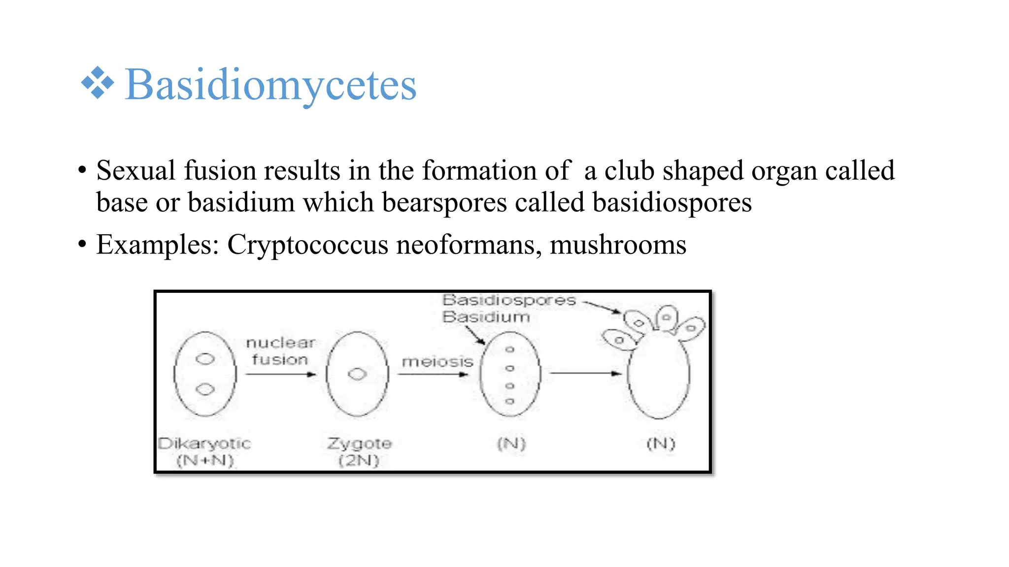 PHARMACEUTICAL MICROBIOLOGY (BP303T) Unit-III Part-1 Study of ...