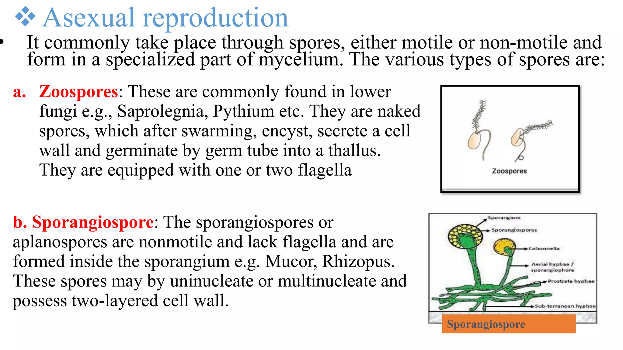 PHARMACEUTICAL MICROBIOLOGY (BP303T) Unit-III Part-1 Study of ...