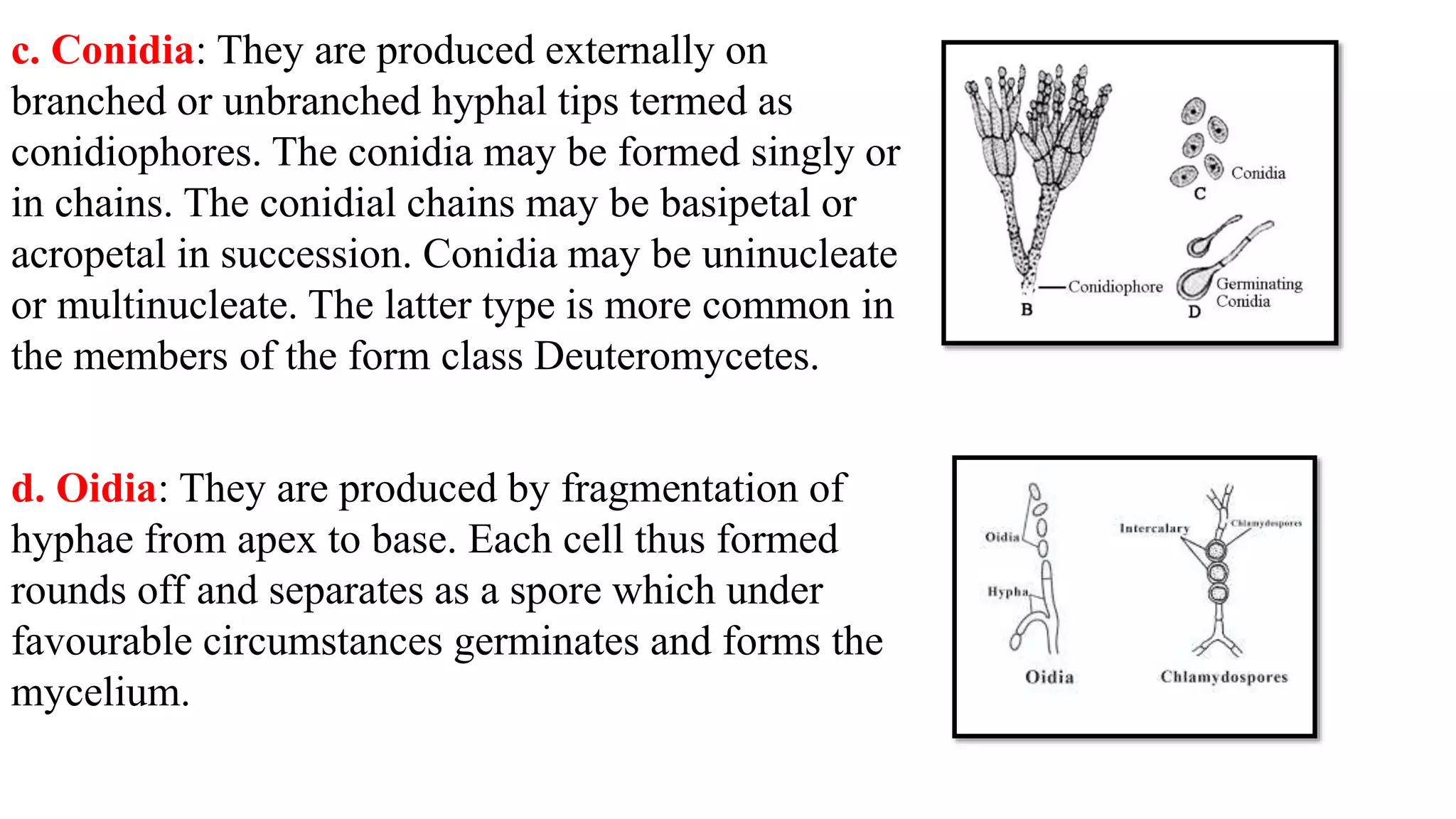 PHARMACEUTICAL MICROBIOLOGY (BP303T) Unit-III Part-1 Study of ...