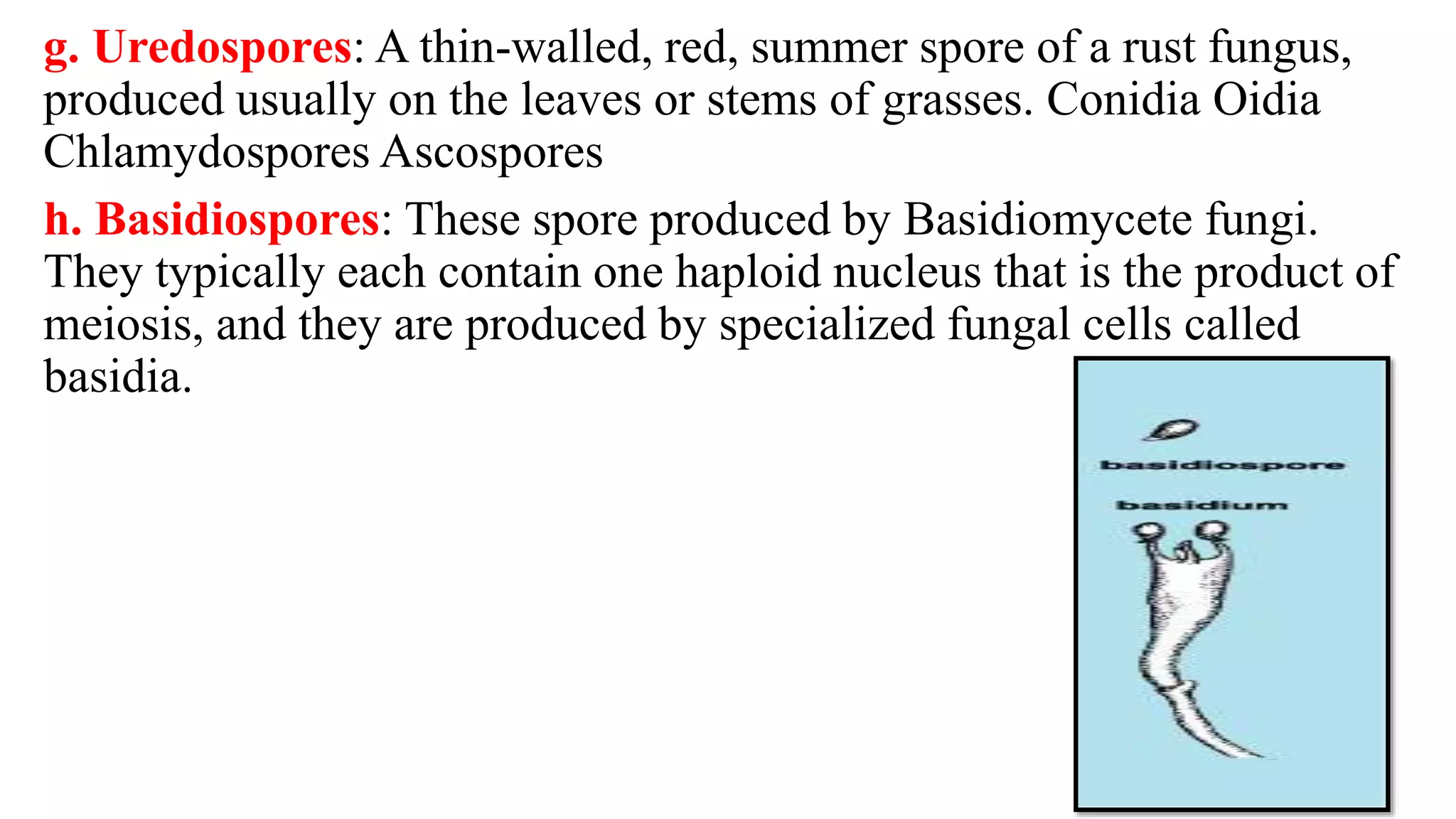PHARMACEUTICAL MICROBIOLOGY (BP303T) Unit-III Part-1 Study of ...