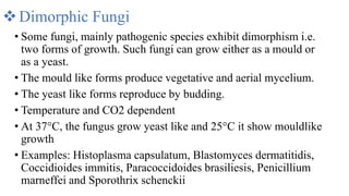 PHARMACEUTICAL MICROBIOLOGY (BP303T) Unit-III Part-1 Study of ...