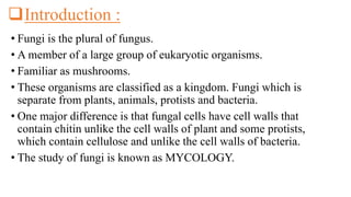 PHARMACEUTICAL MICROBIOLOGY (BP303T) Unit-III Part-1 Study of ...
