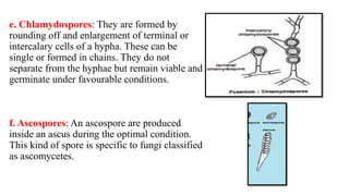 PHARMACEUTICAL MICROBIOLOGY (BP303T) Unit-III Part-1 Study of ...