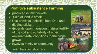 Part-1 Agriculture(X).pptx