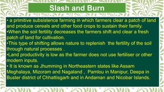 Part-1 Agriculture(X).pptx