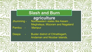 Part-1 Agriculture(X).pptx