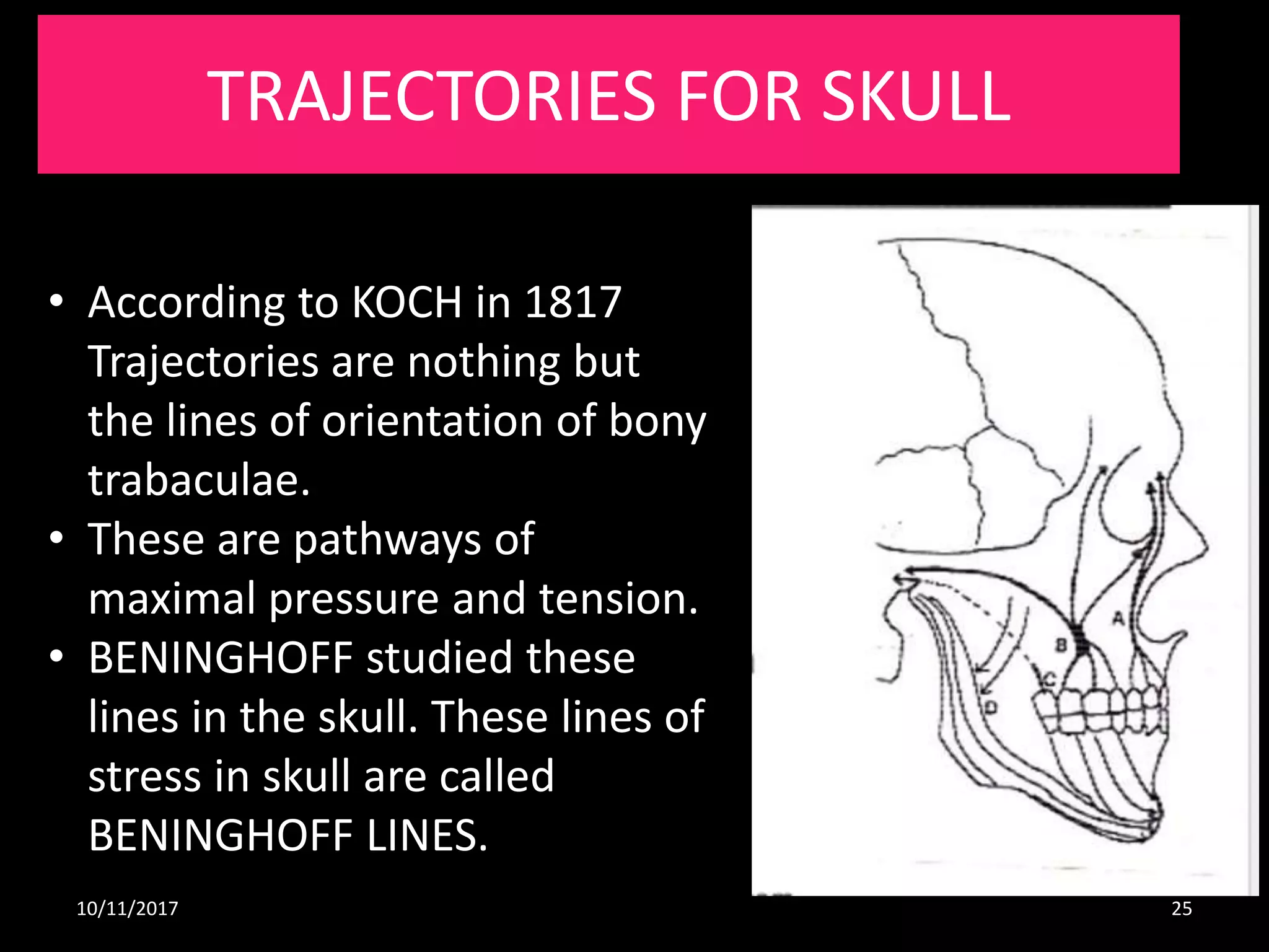 Osteology and radiological anatomy of skull and cervical Bones (Part 1 ...