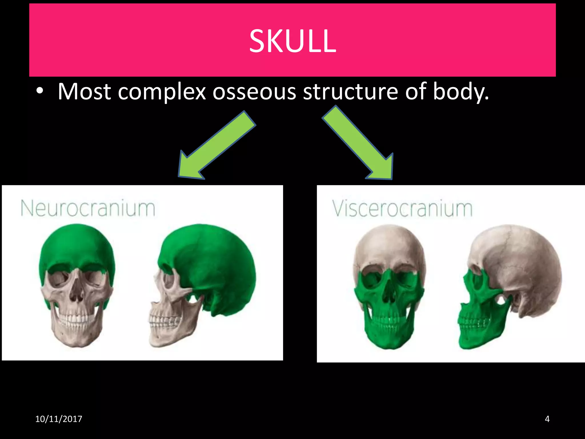 Osteology and radiological anatomy of skull and cervical Bones (Part 1 ...