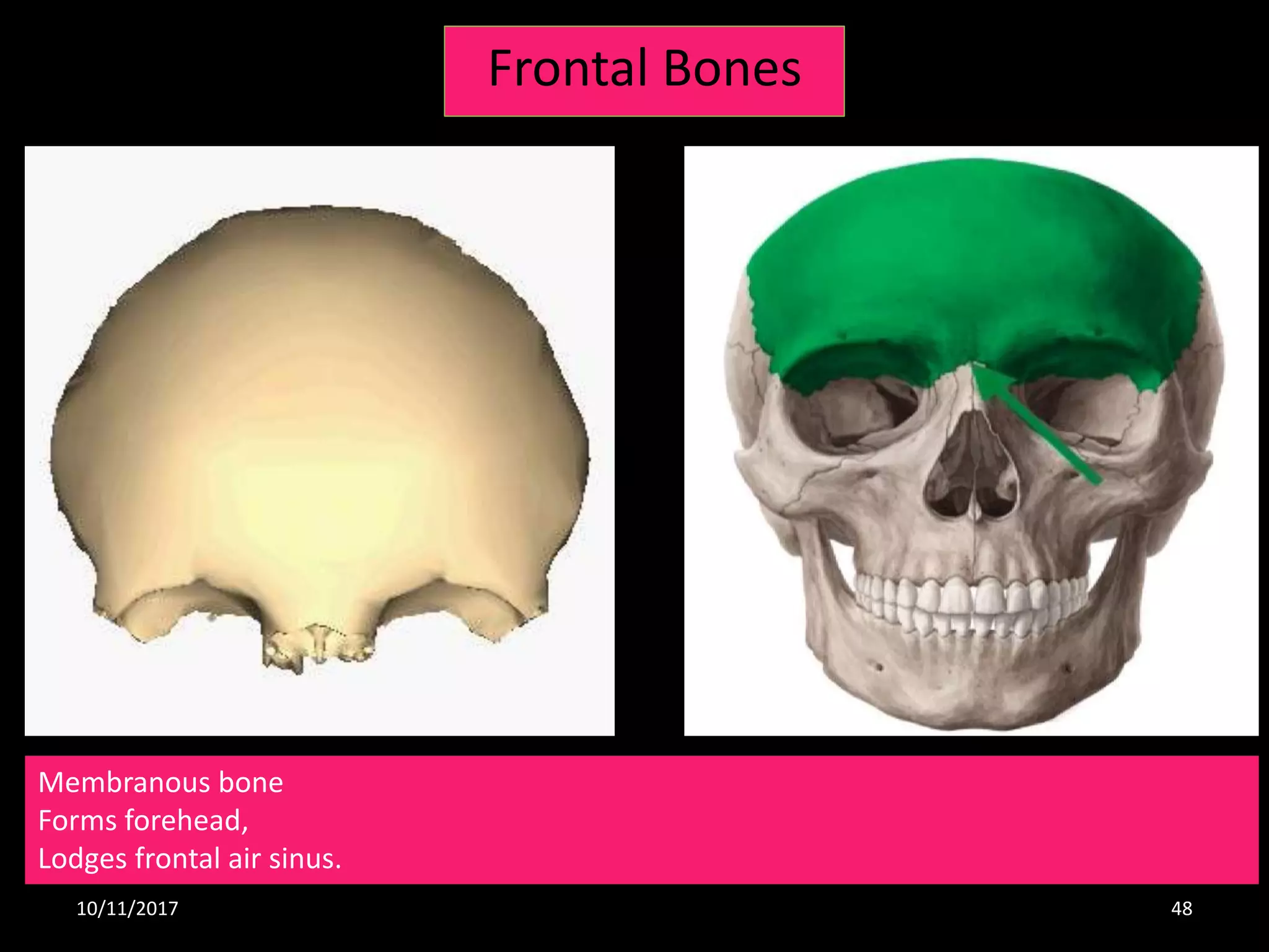 Osteology and radiological anatomy of skull and cervical Bones (Part 1 ...