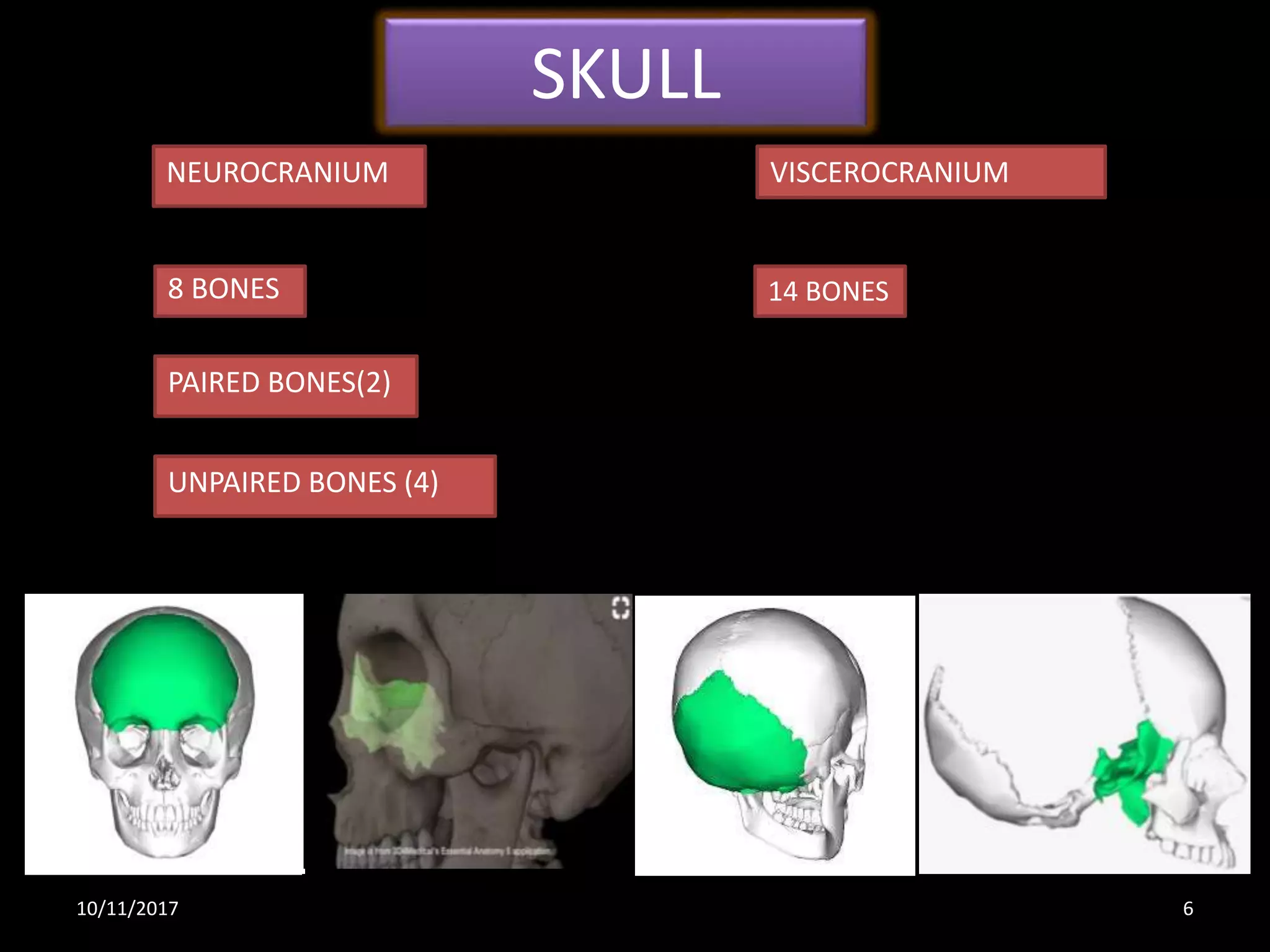Osteology and radiological anatomy of skull and cervical Bones (Part 1 ...