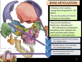 Osteology and radiological anatomy of skull and cervical Bones (Part 1 ...