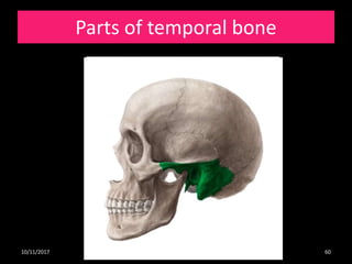 Osteology and radiological anatomy of skull and cervical Bones (Part 1 ...