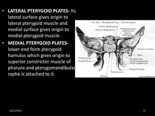 Osteology and radiological anatomy of skull and cervical Bones (Part 1 ...