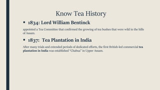 History of world Tea | PPTX
