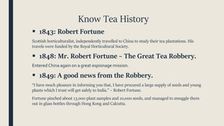 History of world Tea | PPTX