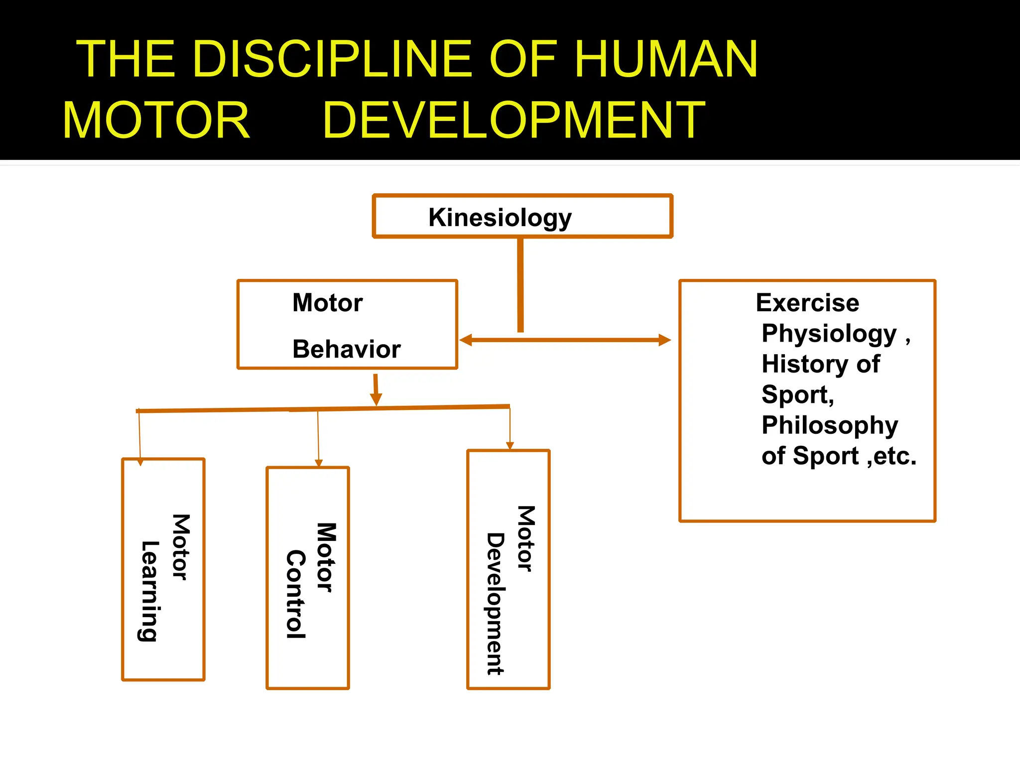 Part-2-Motor-Learning-in-Physical-Rehab.ppt