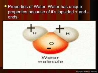 Properties of Water PowerPoint, Adhesion, Cohesion, Surface Tension | PPT