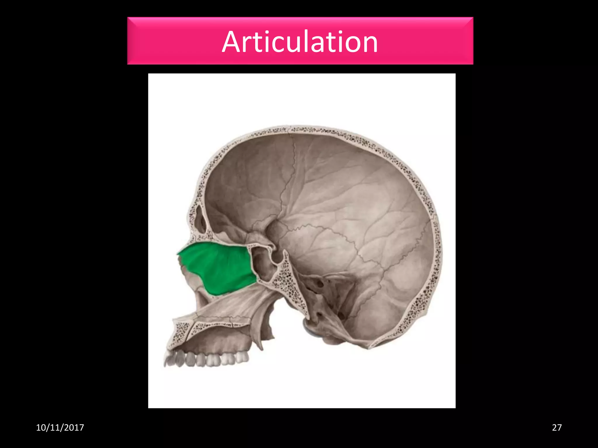 Osteological and radiological anatomy of skull and cervical (Part 2) | PPTX