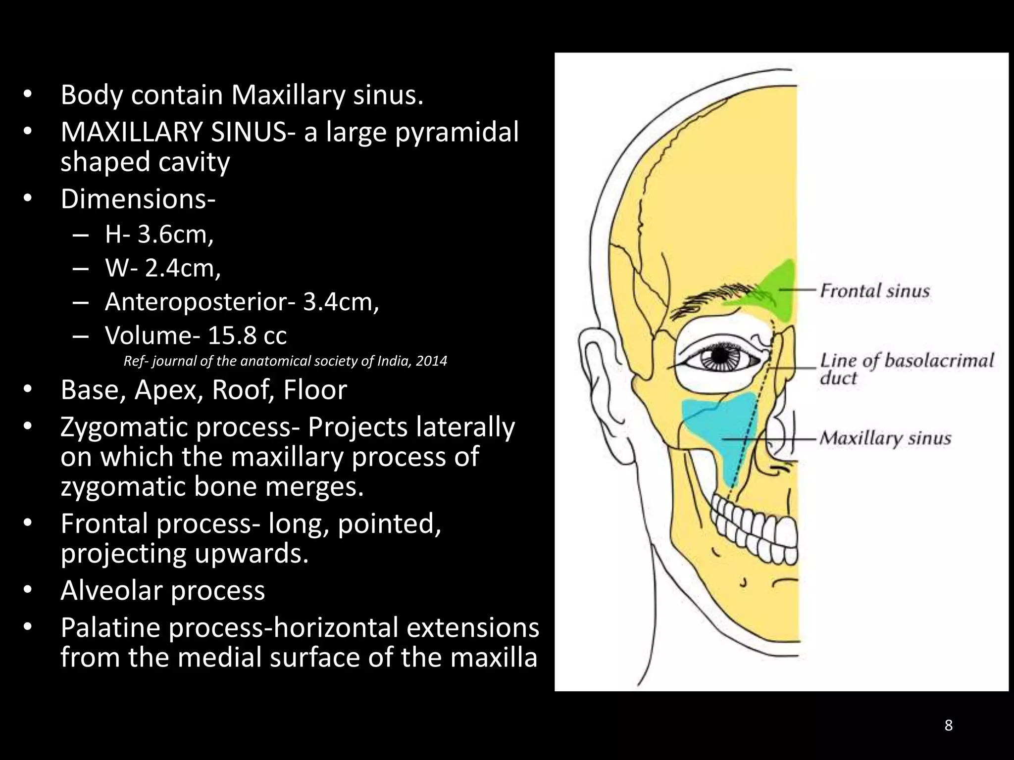 Osteological and radiological anatomy of skull and cervical (Part 2) | PPTX