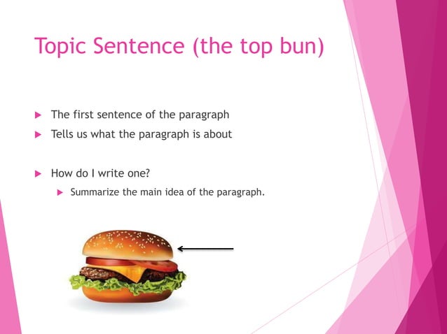 Parts Of Paragraph | PPTX