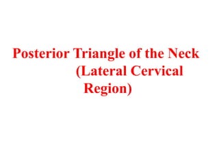 Part-VIIII Triangles of the Neck anatomy | PPT