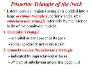 Part-VIIII Triangles of the Neck anatomy | PPT