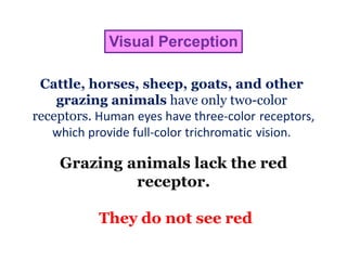 TEMPLE GRANDIN’S GUIDE TO WORKING WITH FARM ANIMALS - CHAPTER 1 | PDF