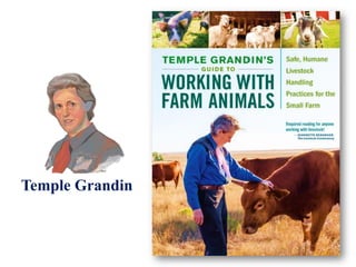 TEMPLE GRANDIN’S GUIDE TO WORKING WITH FARM ANIMALS - CHAPTER 1 | PDF