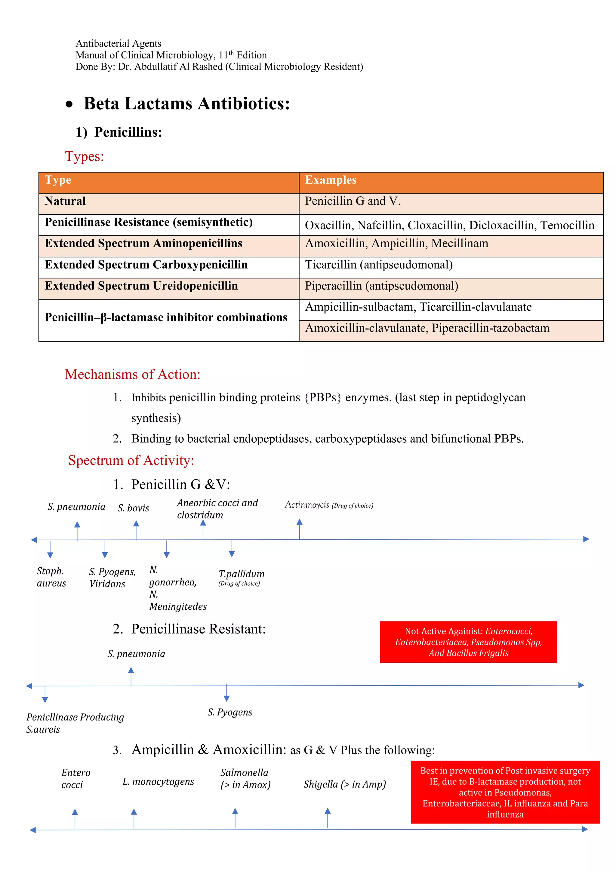 Bata Lactams Antibiotics & beta lactamase inhibitors Summary | PDF | Chemistry | Science