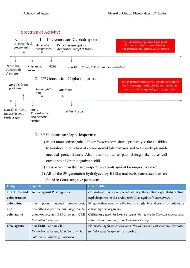 Bata Lactams Antibiotics & beta lactamase inhibitors Summary | PDF | Chemistry | Science