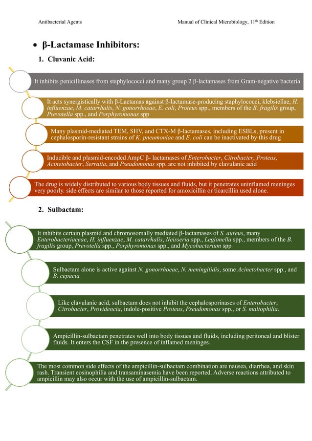 Bata Lactams Antibiotics & beta lactamase inhibitors Summary | PDF | Chemistry | Science