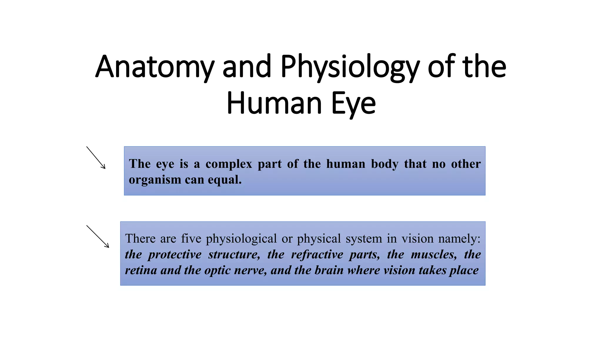 Blindness and Low Vision | PPTX