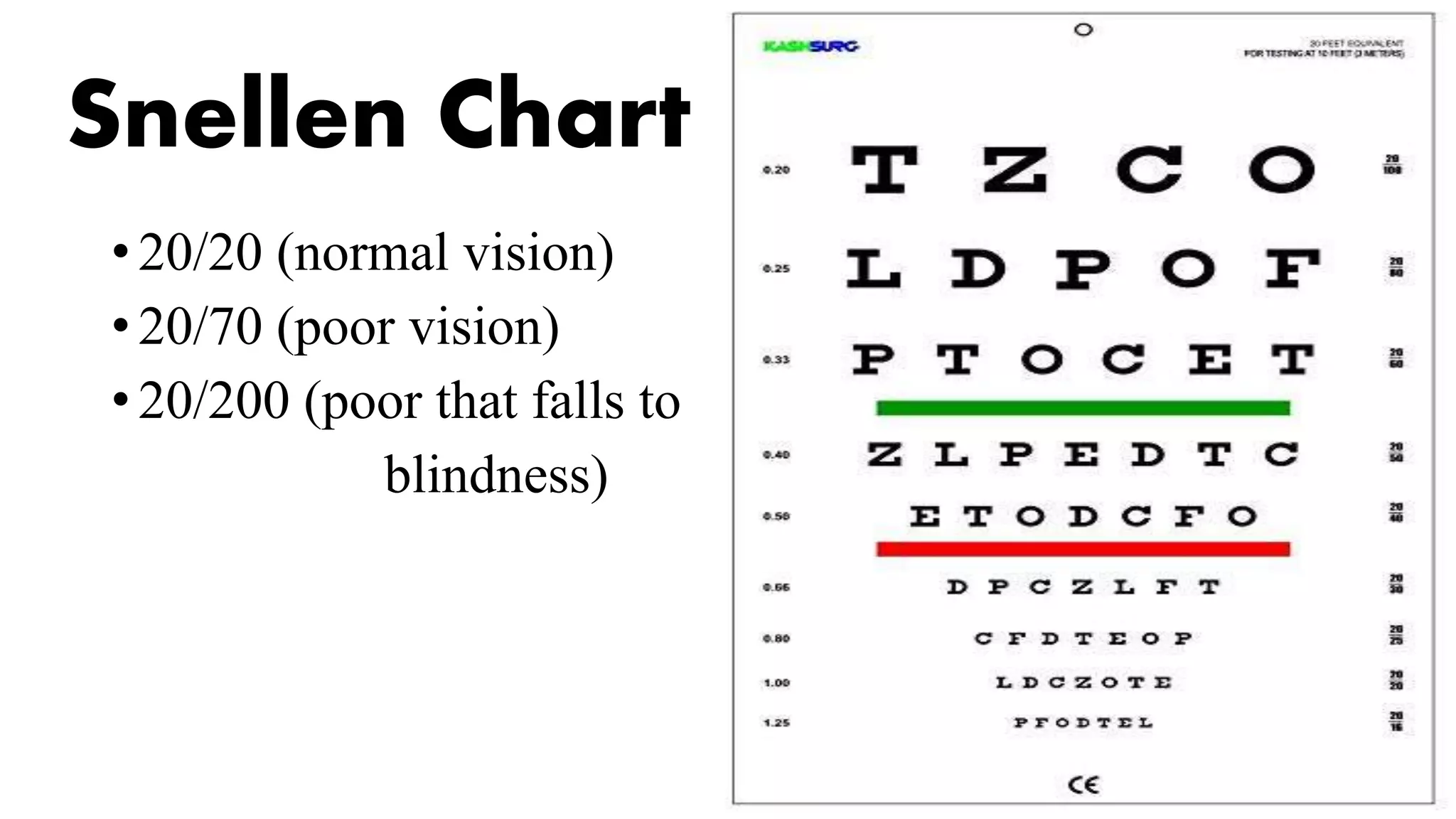 Blindness and Low Vision | PPTX
