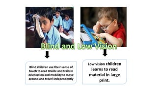 Blindness and Low Vision | PPTX