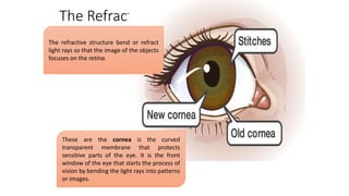 Blindness and Low Vision | PPTX