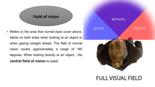 Blindness and Low Vision | PPTX
