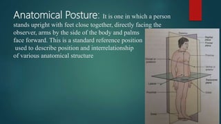 anatomy | PPT